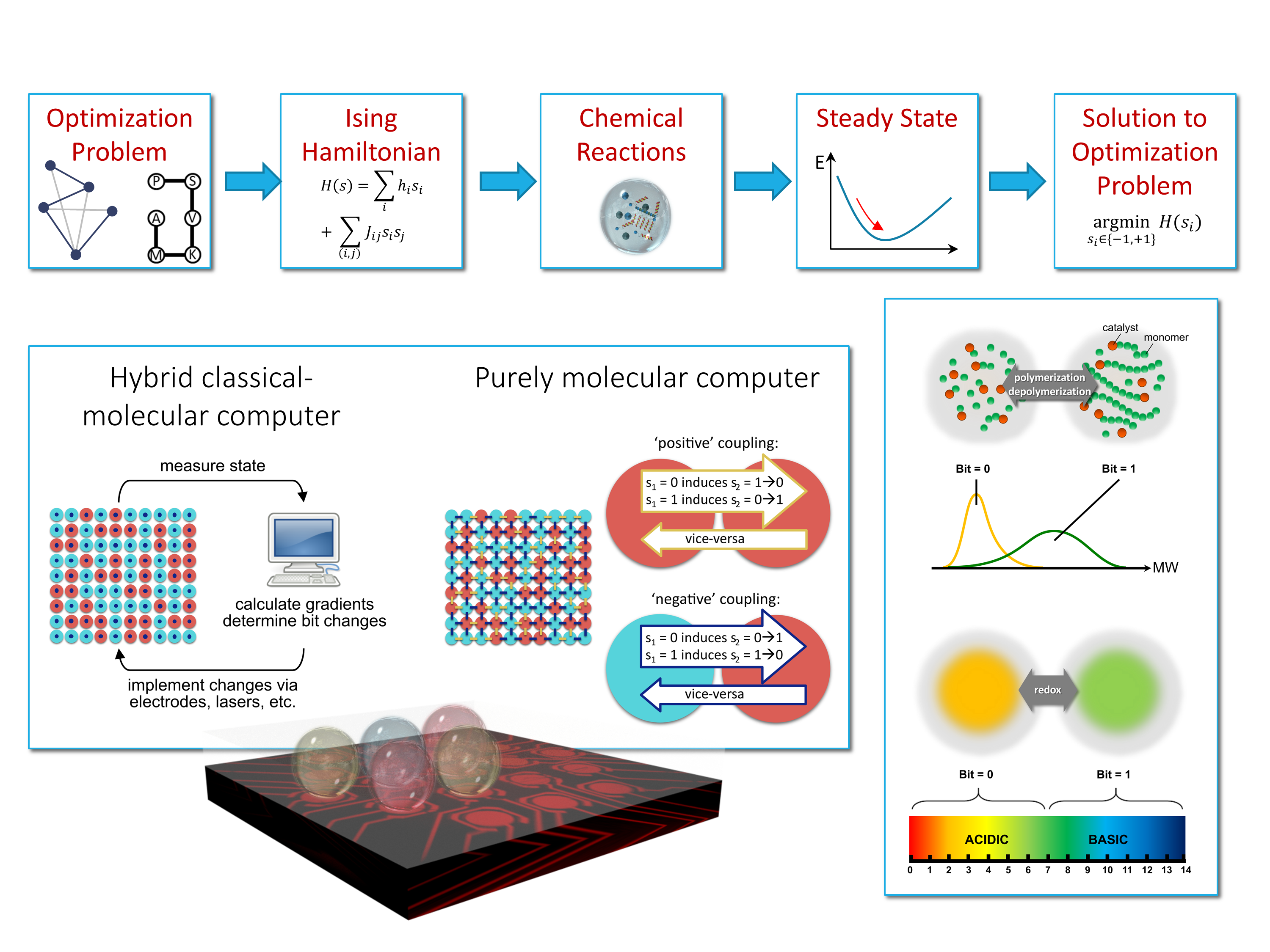 Biophysics, Molecular Computers, and Other Topics